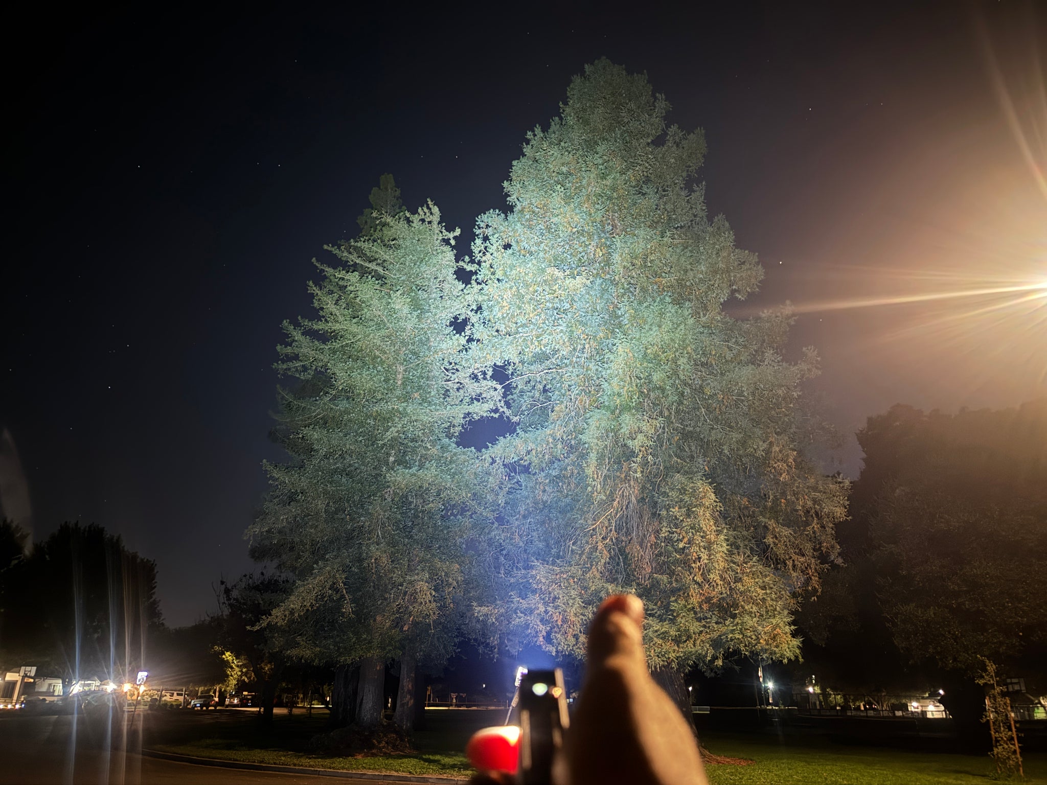 Compact Dual Photon Flood - 14500x2 Flashlight by Maratac® – CountyComm